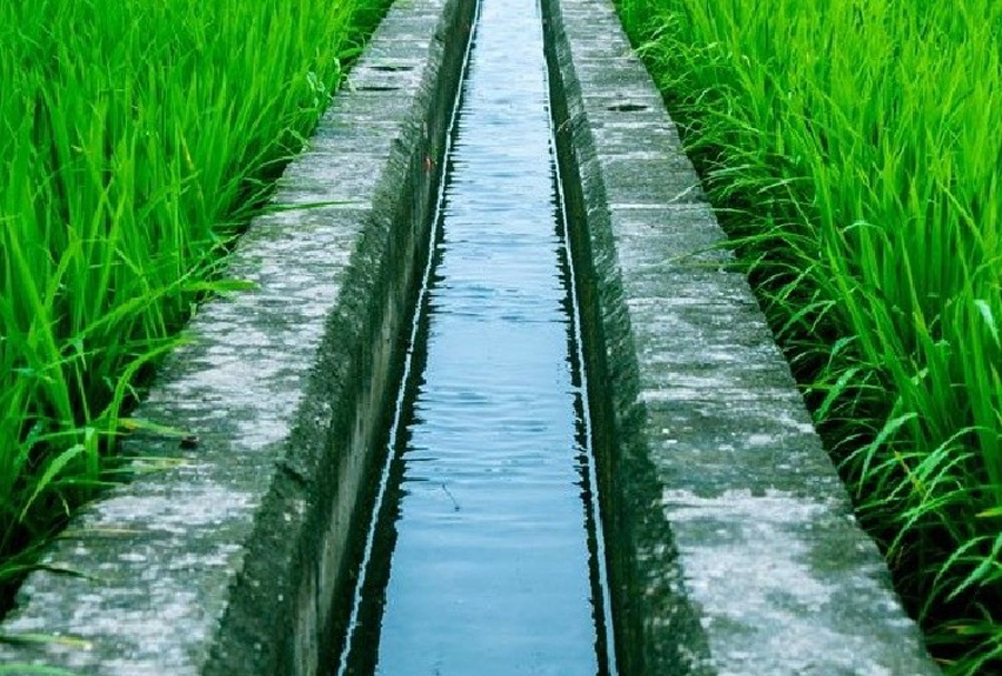 चितवनको ३३ सय बढी बिघामा ट्युबेलमार्फत बाह्रै महिना सिँचाइ ...