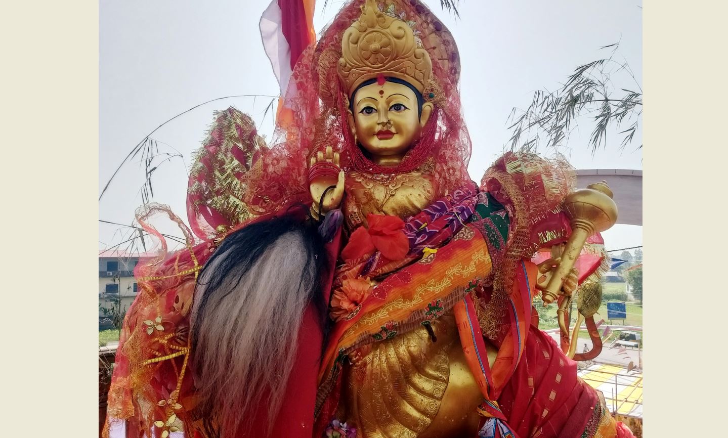 सय दिनमा पाथीभराको आम्दानी ६६ लाखभन्दा बढी « Narayanionline.com